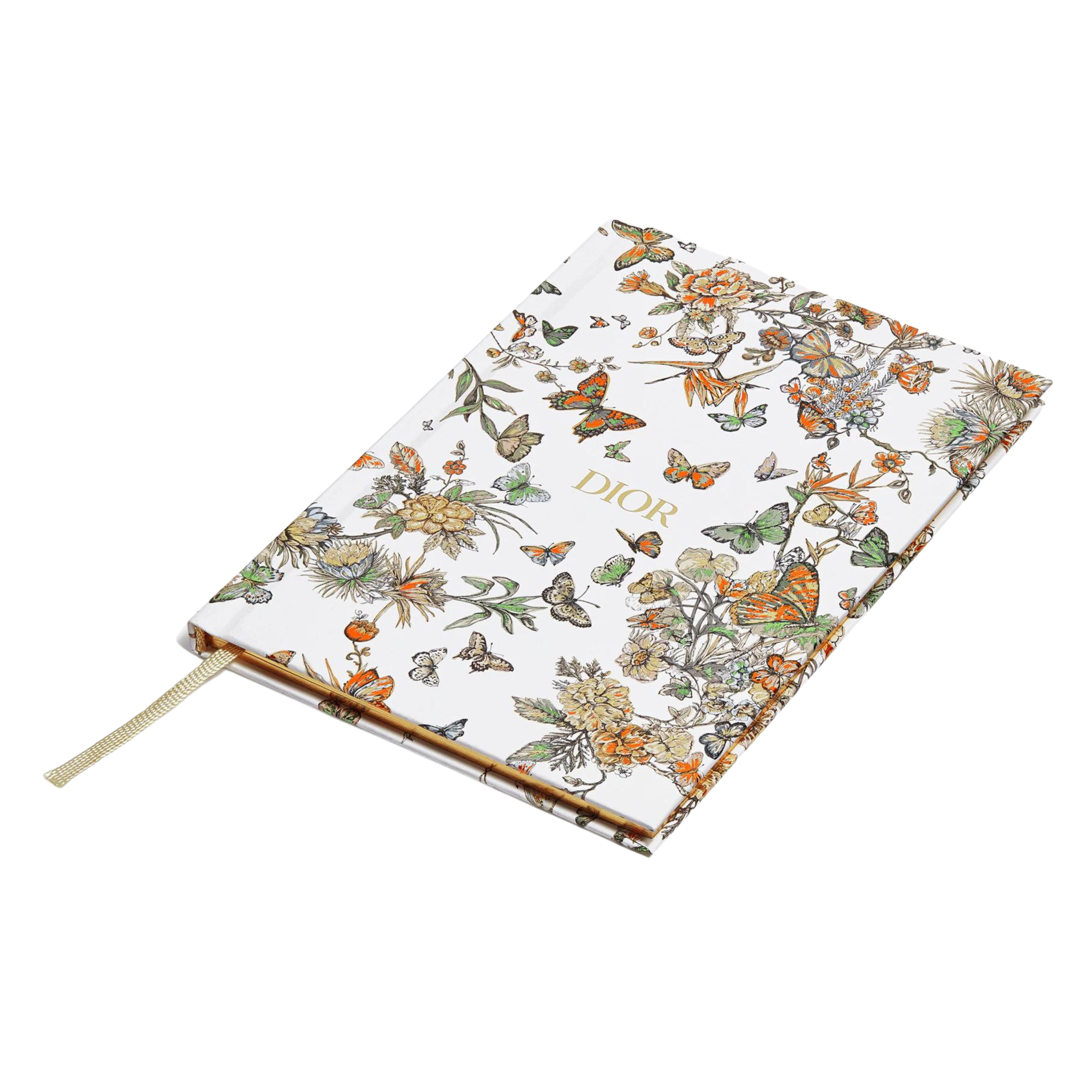 Christian Dior Notebook Multicolor Cruise 24 Exclusive Edition – ROOYAS